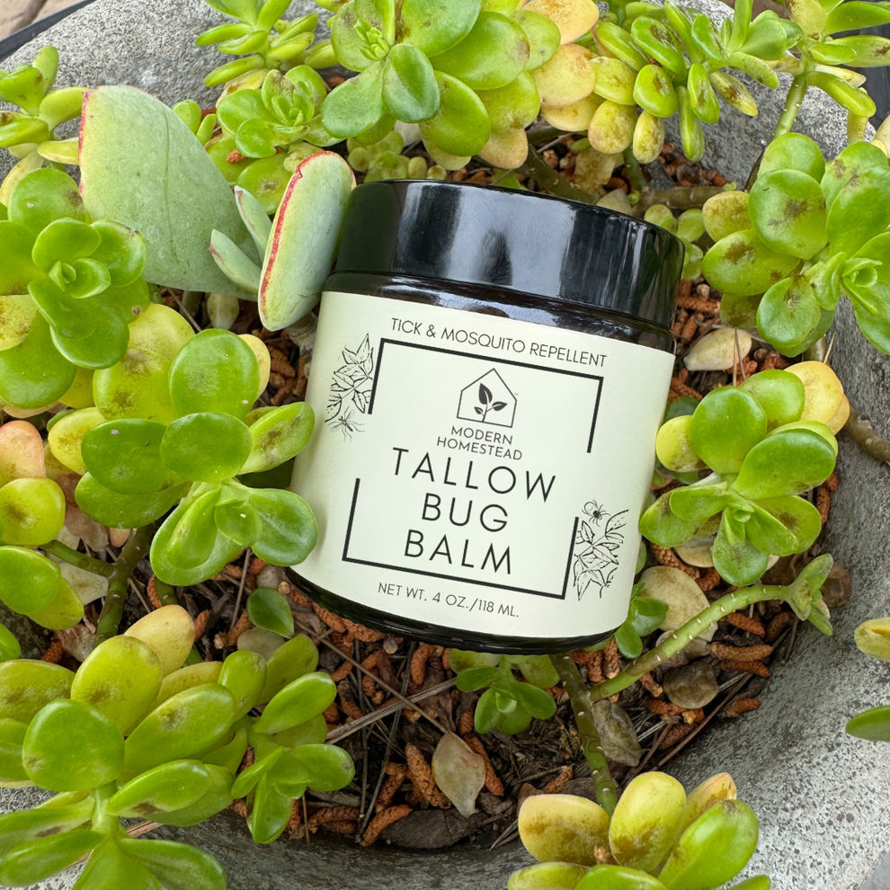 Bug Balm – Modern Homestead