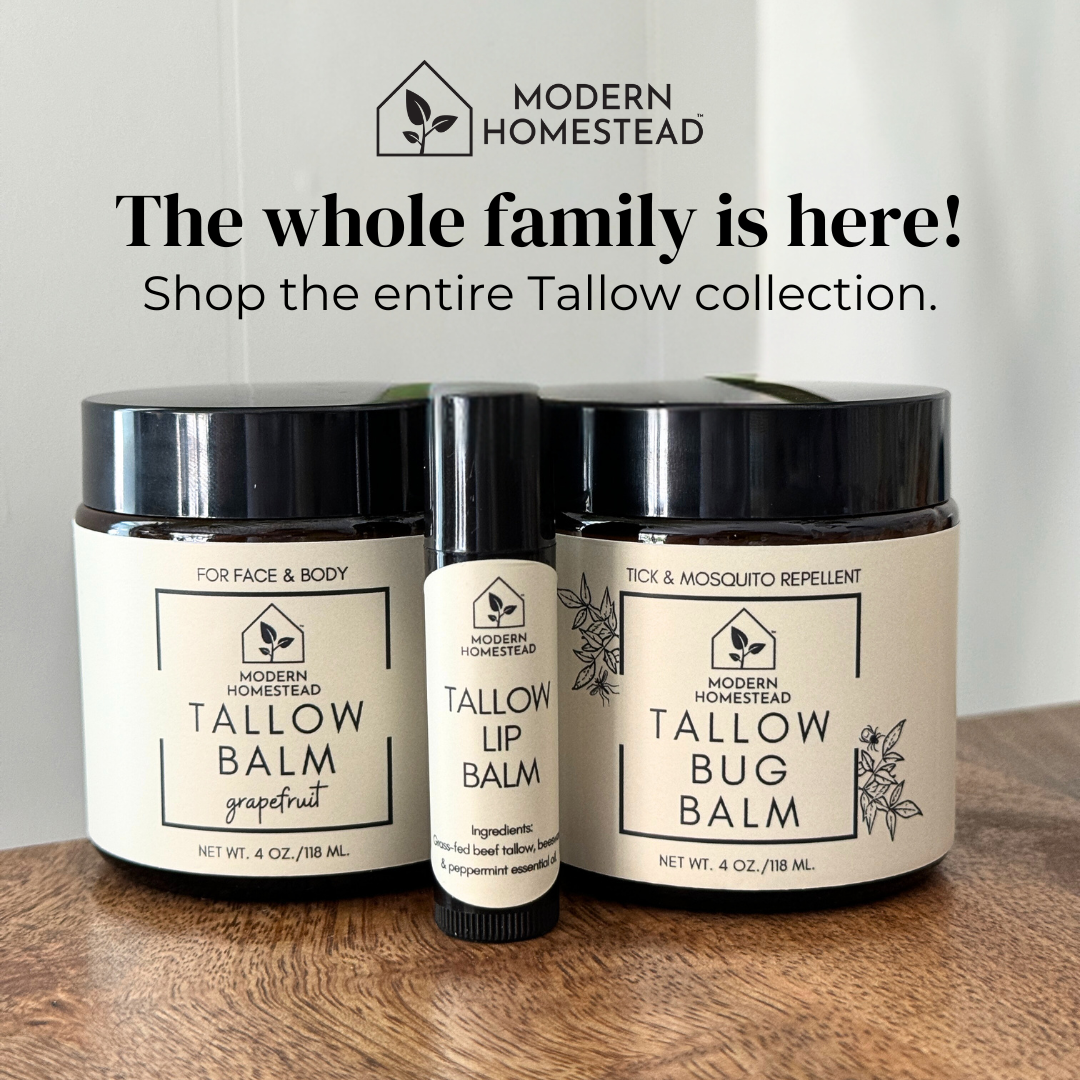 Tallow Balm – Modern Homestead